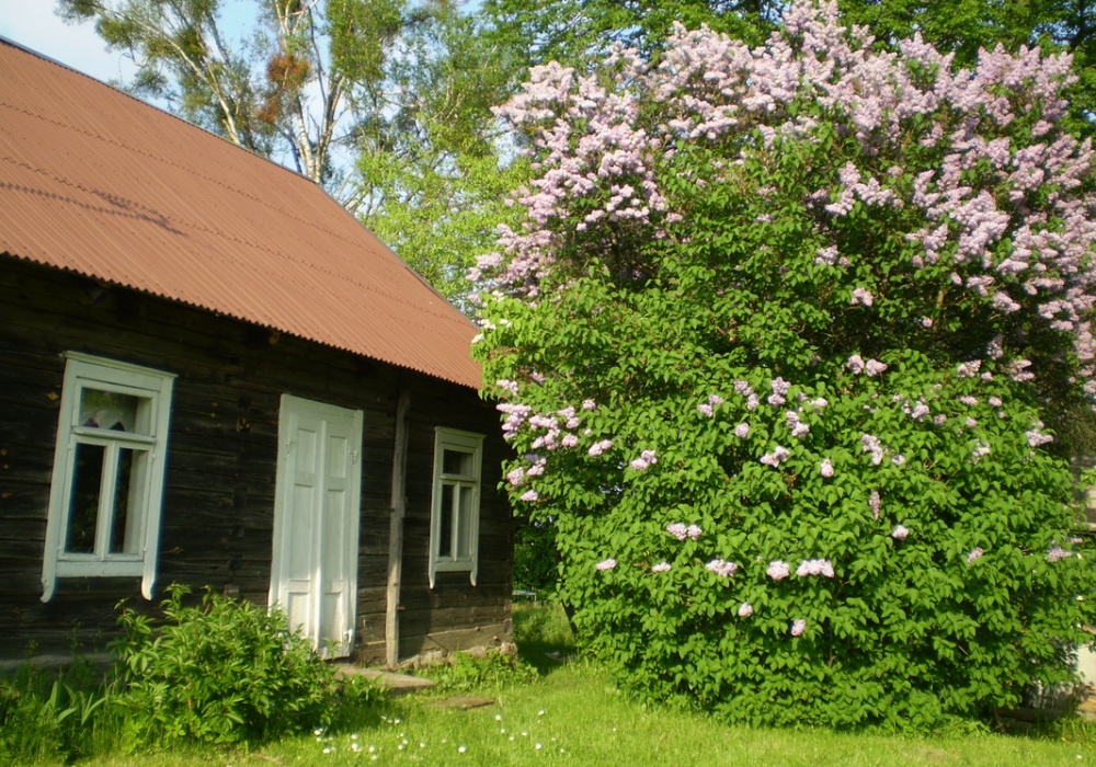 Kurmiškių sodyba - Savaitgalio pramogos, renginiai, kelionės