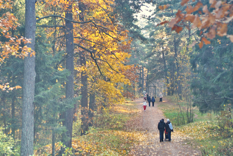 Verkių regioninis parkas - Savaitgalio pramogos, renginiai, kelionės